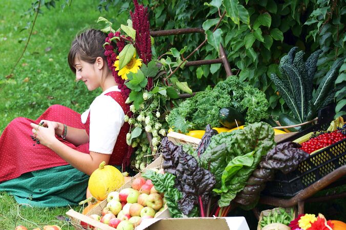 Gartenpflanzen und Ernte – SteinschalerWiki